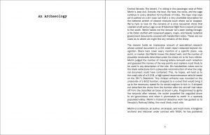 From the Archives of Peter Merlin, Aviation Archaeologist | Primary ...