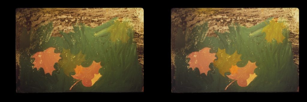 Slides of a Changing Painting | Primary Information